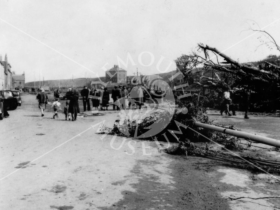 The Harbour and Gunsgreen House in the aftermath of a flood ...